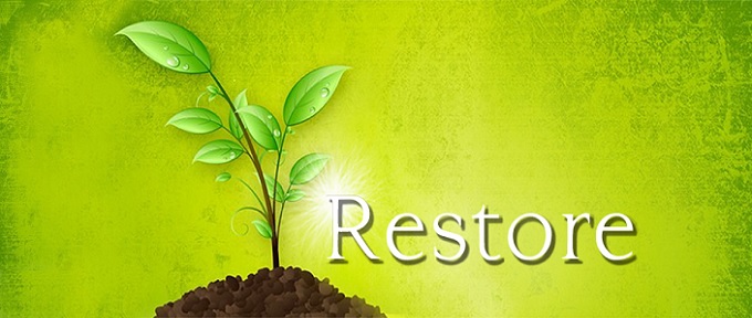 Fresh language for Jesus’ kingdom – Seeking the kingdom